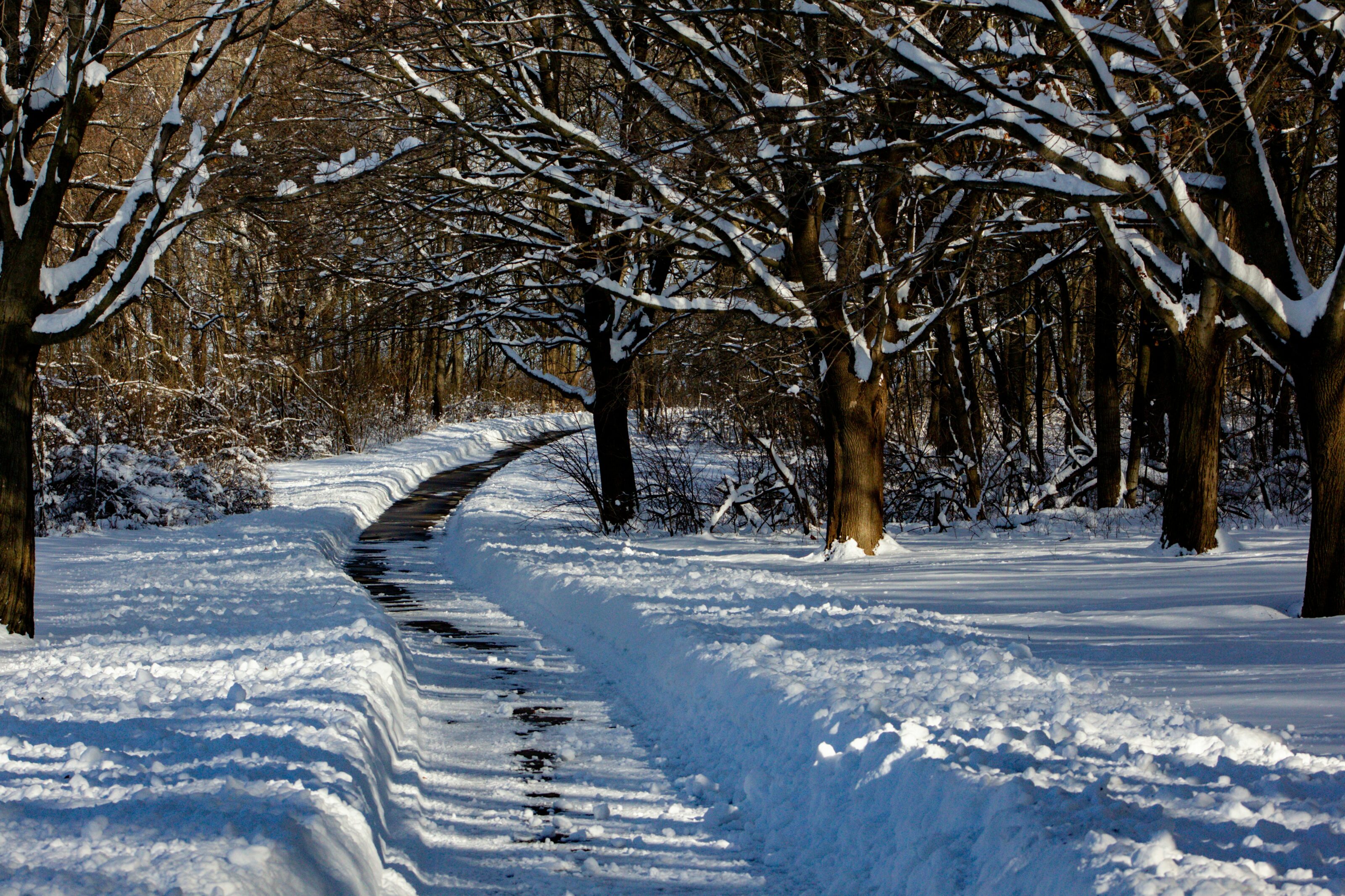 How to Remove Snow from a Gravel Driveway: 4 Steps | MachineFinder